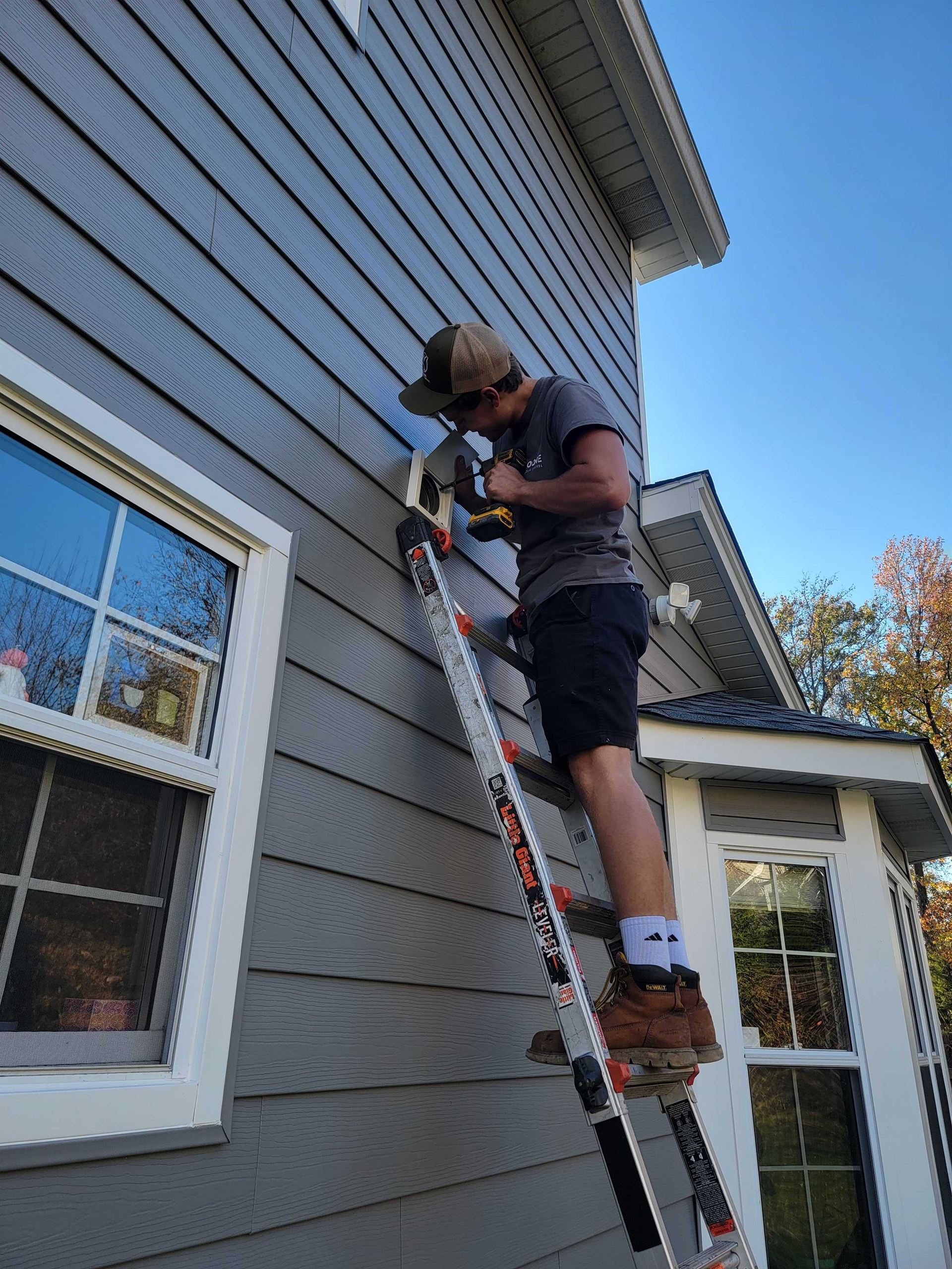 Bird Control – Boone Wildlife Control